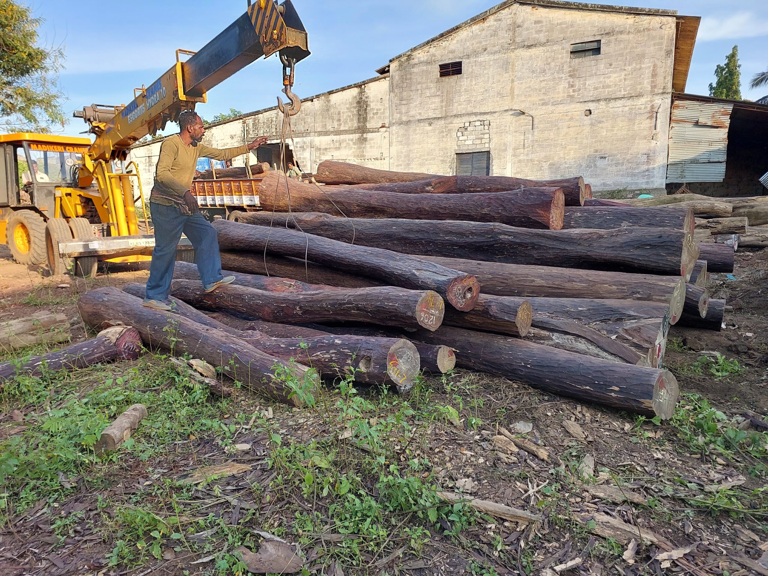 Timbers - Coorg Rosewood Timbers